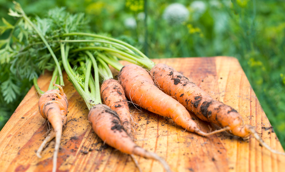 Fruit and Vegetables Don't Have to be the Perfect Shape